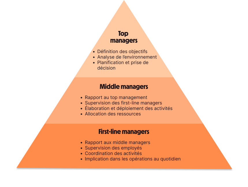 Middle Management : quel accompagnement professionnel